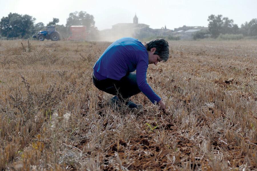 What is the difference between min-till and direct drilling? | KUHN