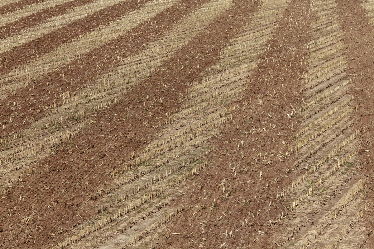 Types of minimum tillage | KUHN