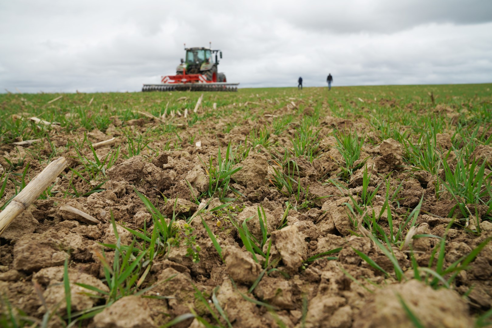 Weed control in field crops: integrated weeding strategies | KUHN