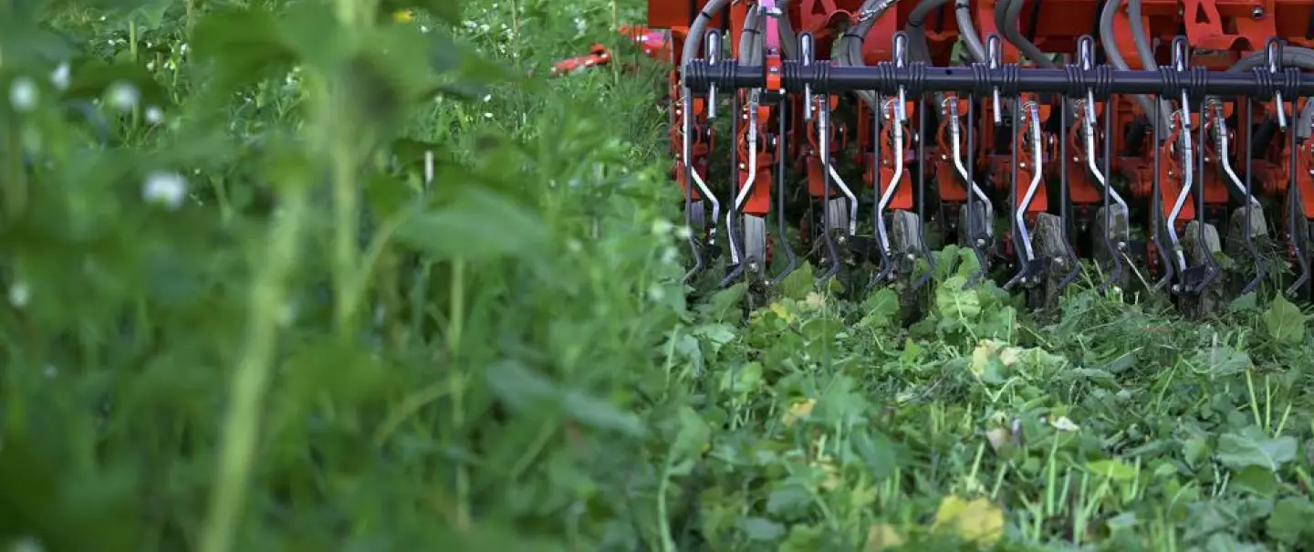 Types of minimum tillage | KUHN